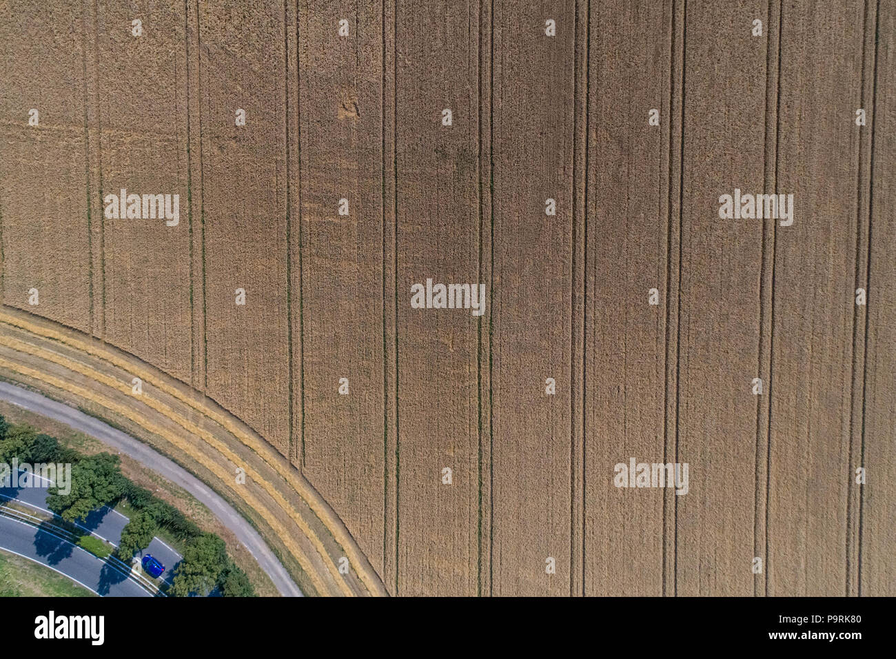 Aerial view of wheat field and tracks from tractor. Beautiful ...