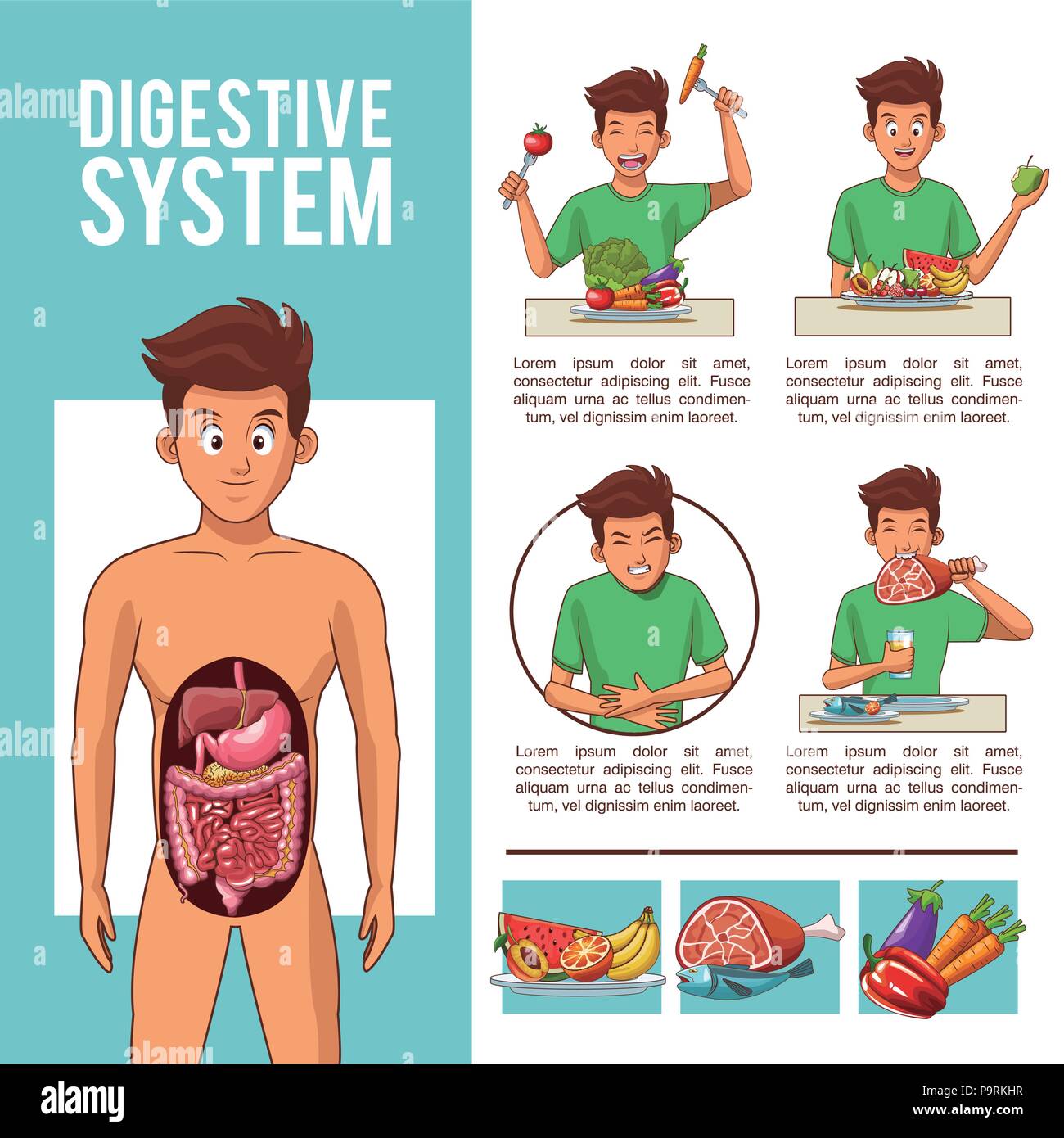 Digestive system poster with information vector illustration graphic ...
