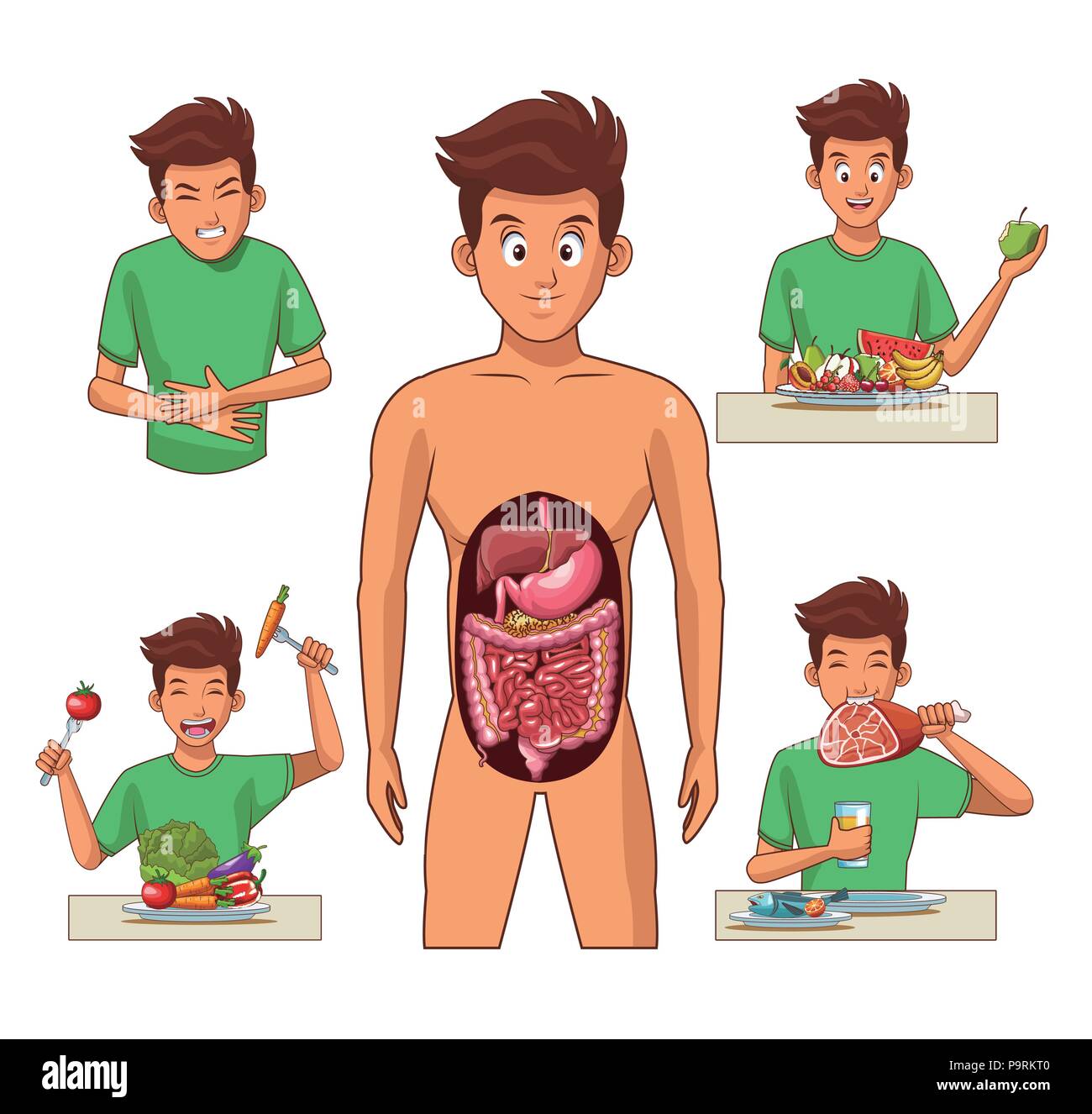 Digestive System Cartoon High Resolution Stock Photography and Images ...