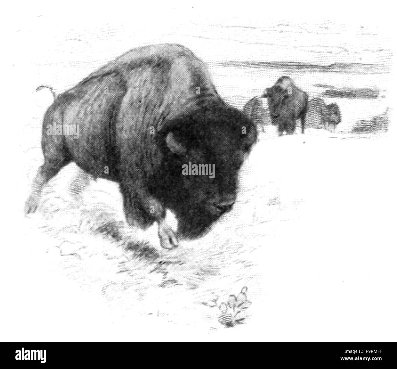 U s history landmarks Cut Out Stock Images & Pictures - Alamy