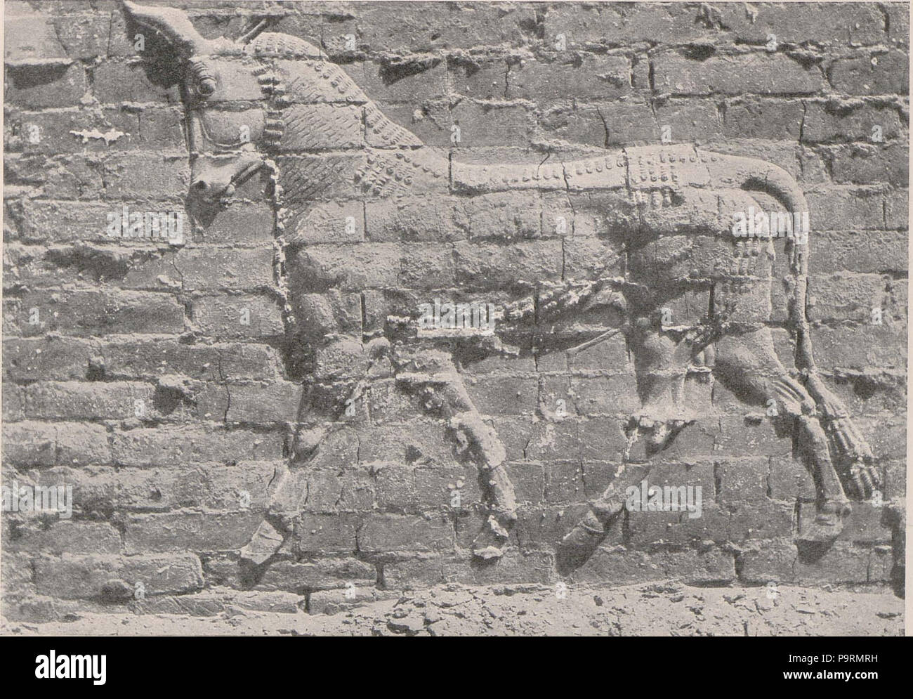 Ishtar gate bull hi-res stock photography and images - Alamy