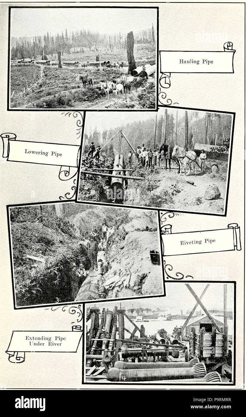 At bull run hi-res stock photography and images - Alamy