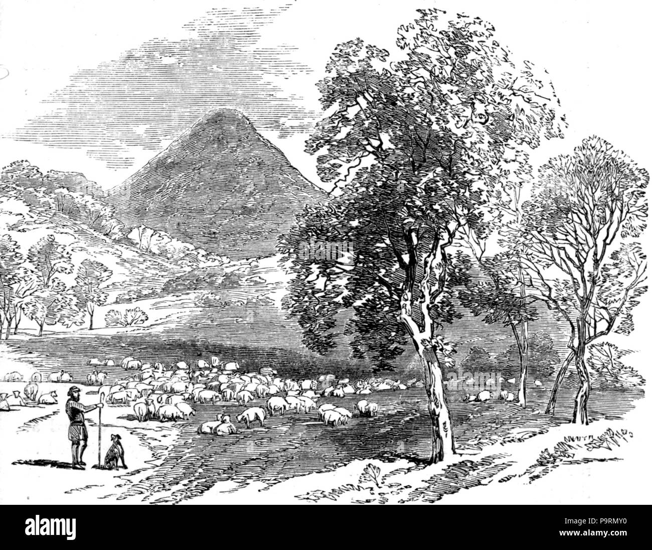 Ballarat Black and White Stock Photos & Images - Alamy