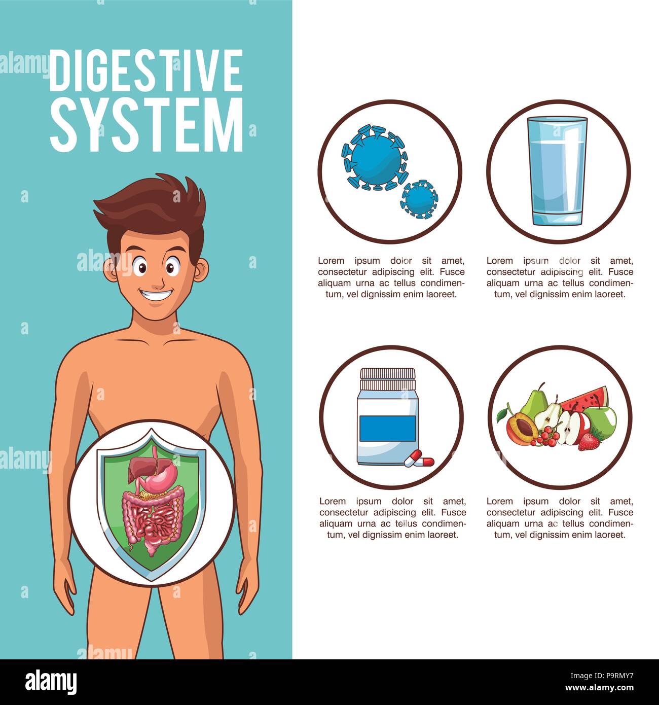 Digestive system and young man with round symbols vector illustration ...