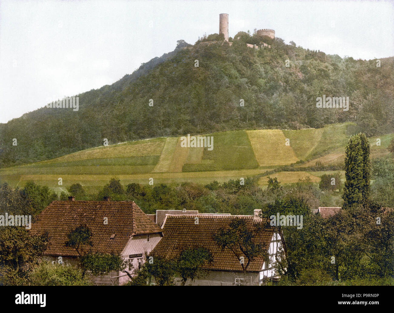 Plesse burg hi-res stock photography and images - Alamy