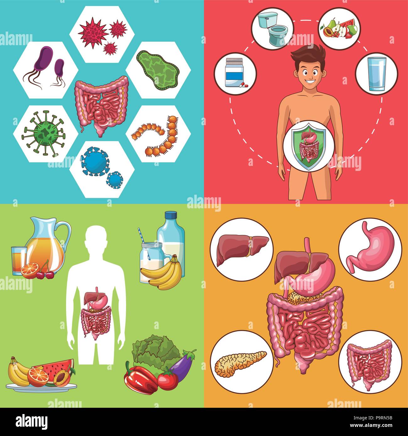 Digestive System Graphic Organizer digestive-system-graphic-organizer