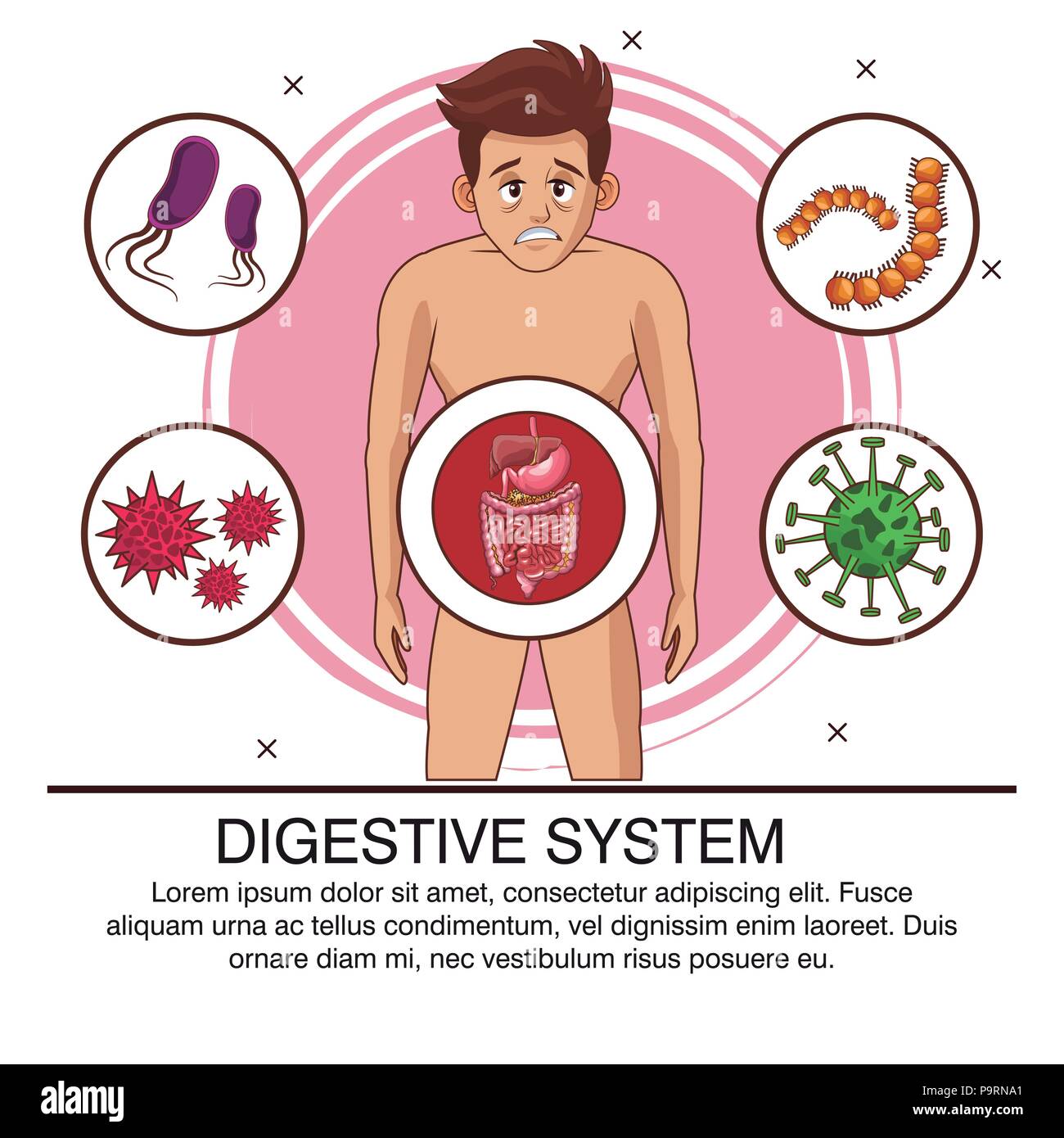 Digestive system poster with information vector illustration graphic ...