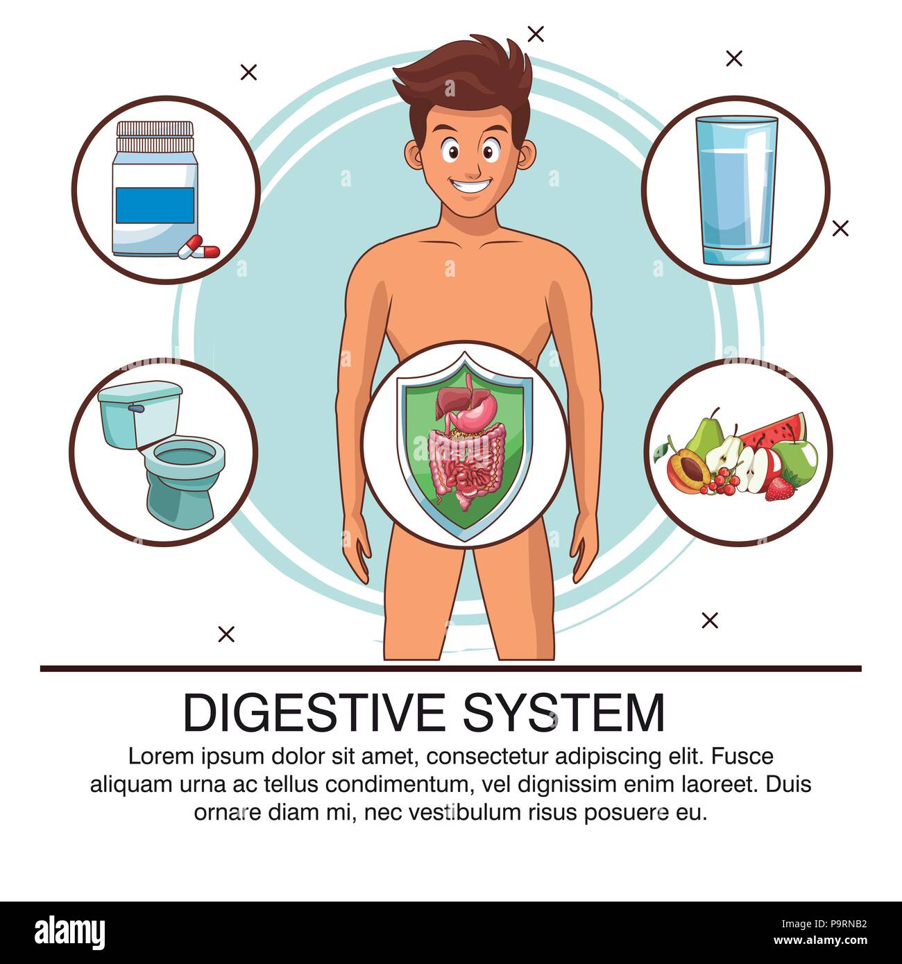 Digestive system poster with information vector illustration graphic ...