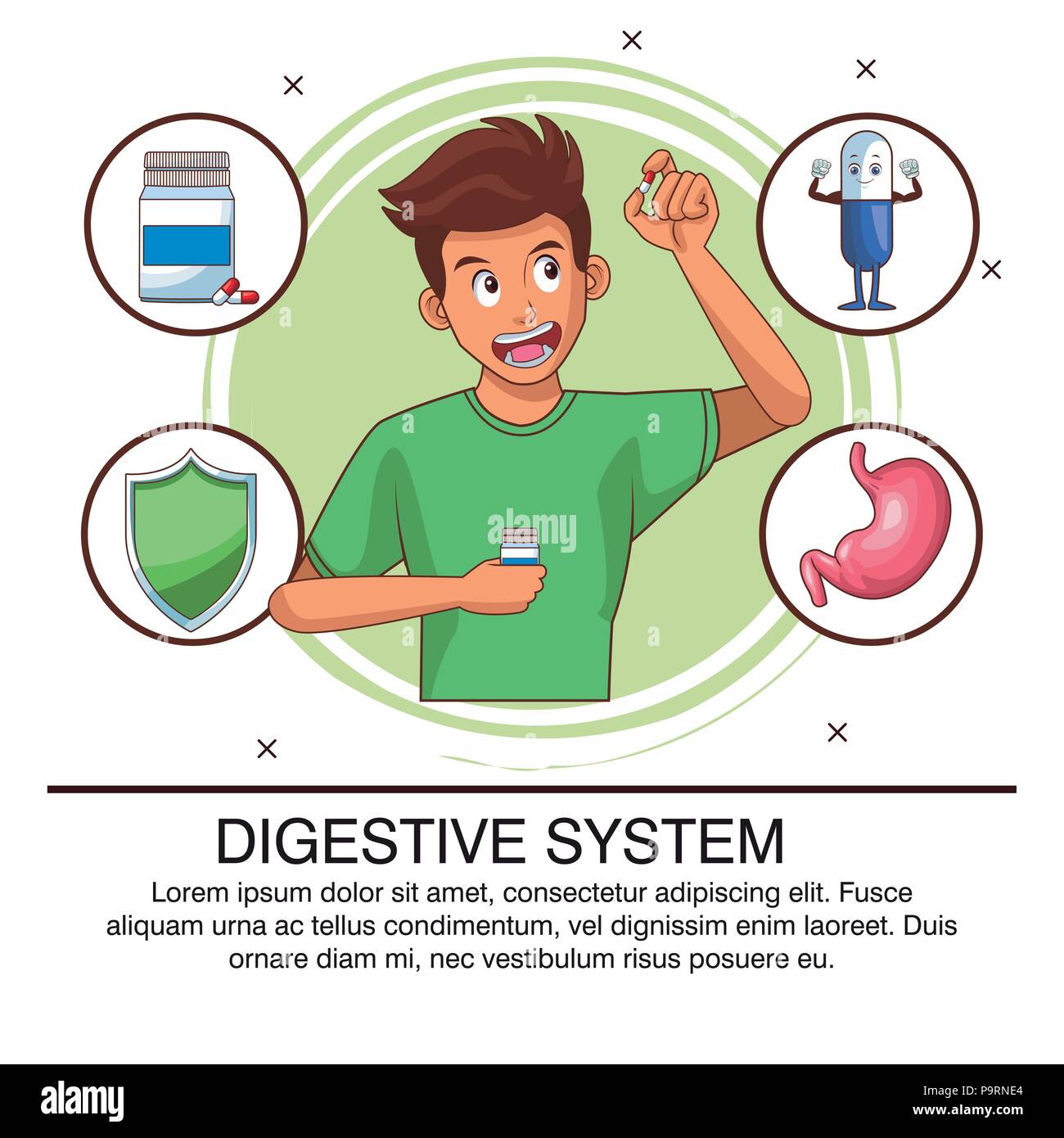 Digestive system poster with information vector illustration graphic ...