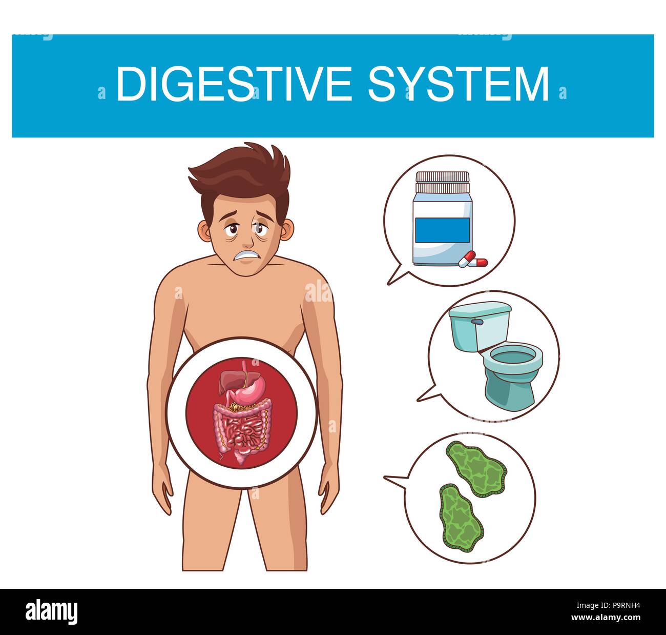 Digestive system and young man with round symbols vector illustration ...