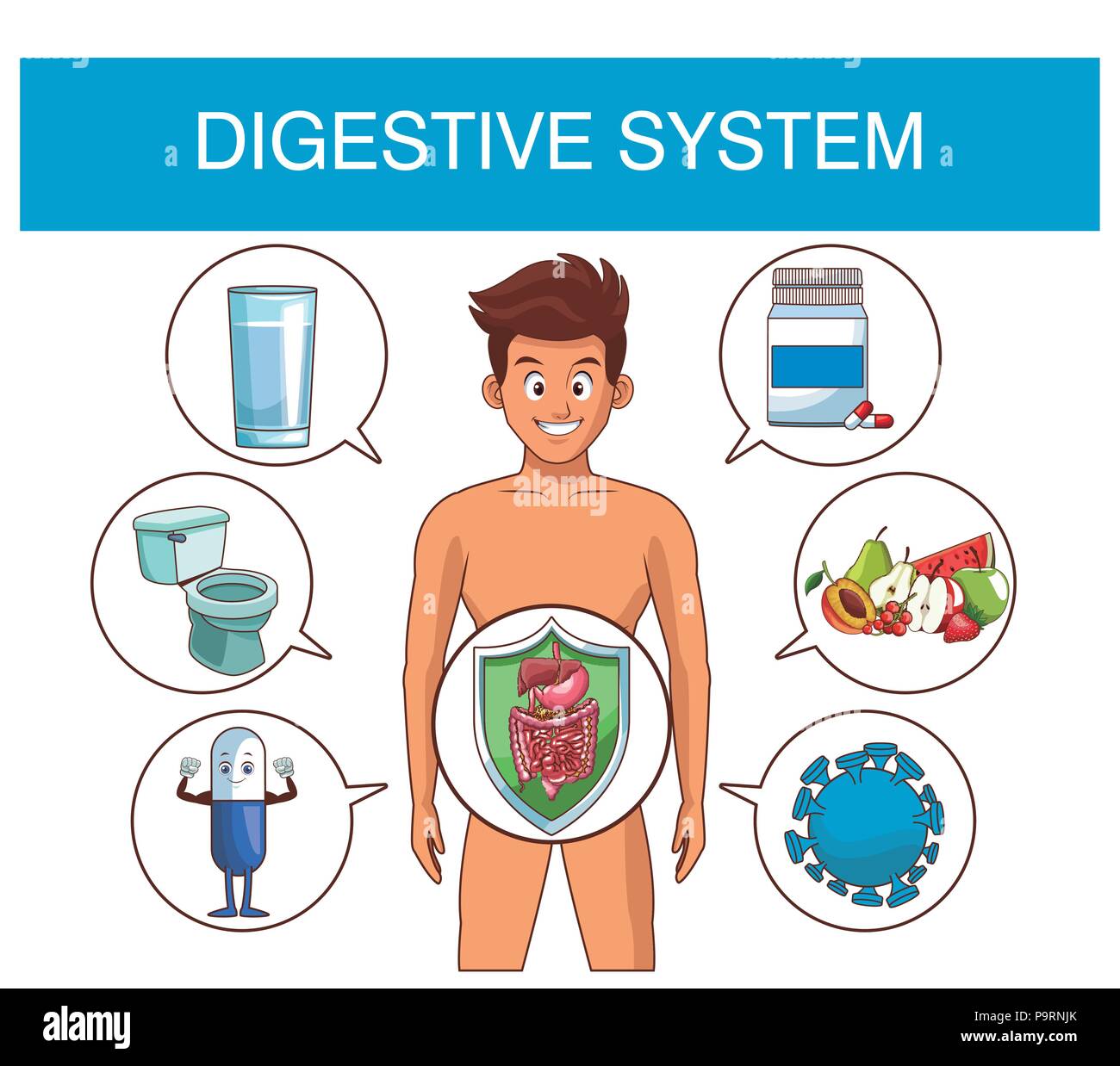 Digestive system and young man with round symbols vector illustration ...