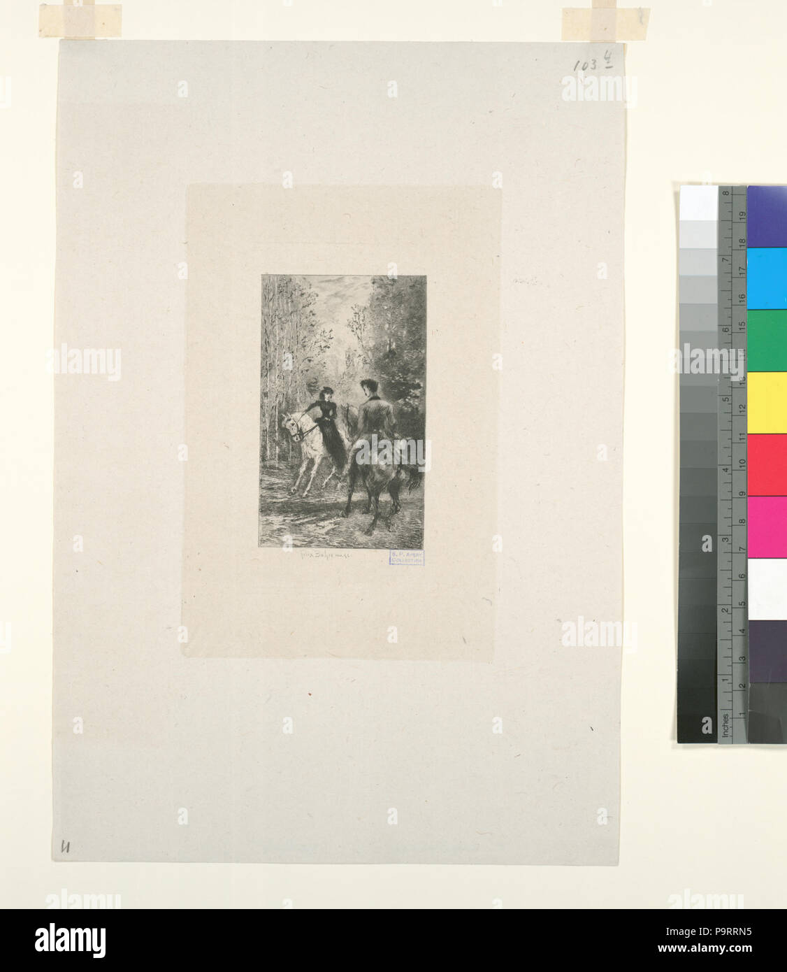 Caramba High Resolution Stock Photography and Images - Alamy