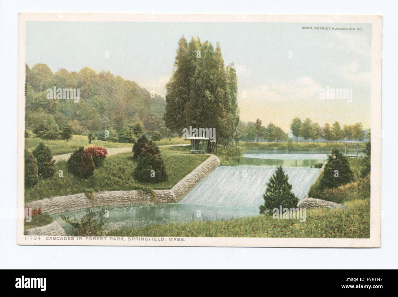 Springfield forest hi-res stock photography and images - Alamy