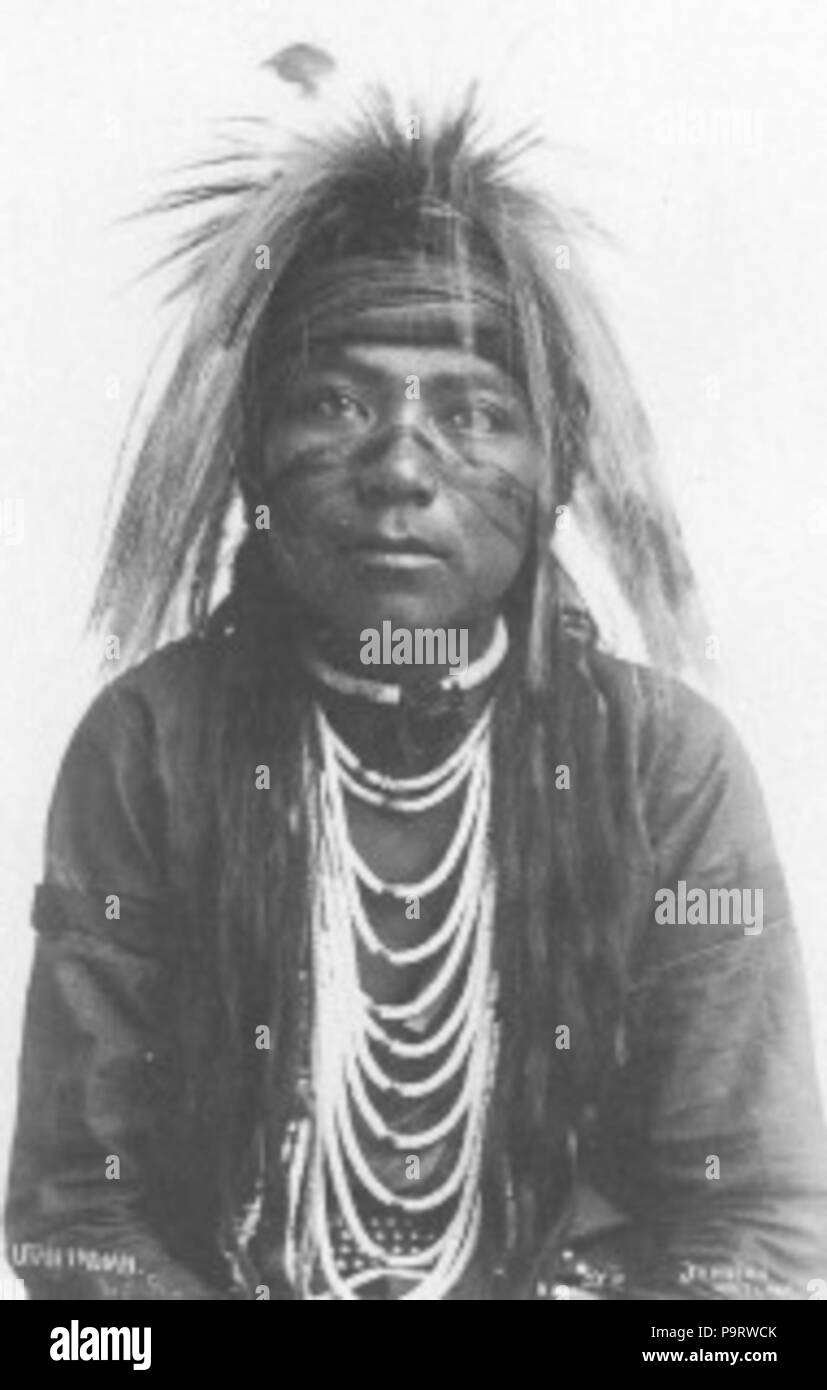 . English: 'Utah Indian' by Charles Ellis Johnson . before 1917 298 ...