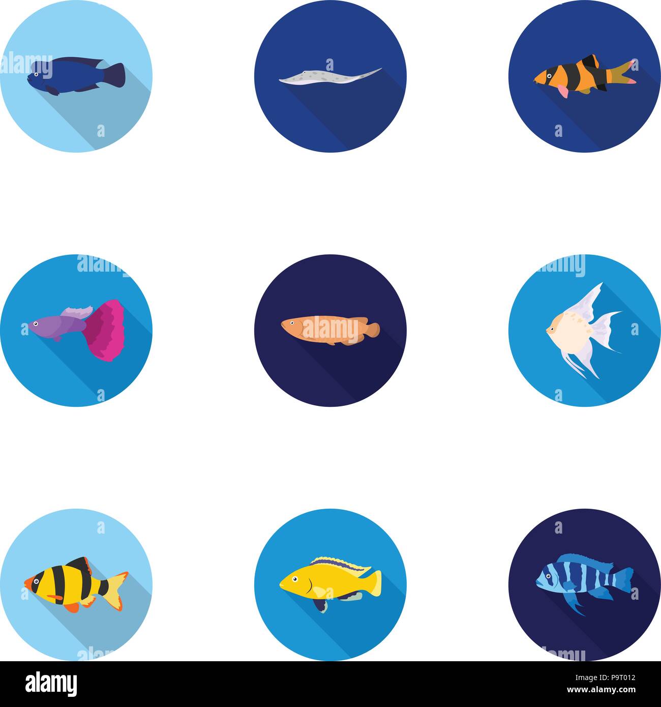 Aquarium fish set icons in flat style. Big collection of aquarium fish ...