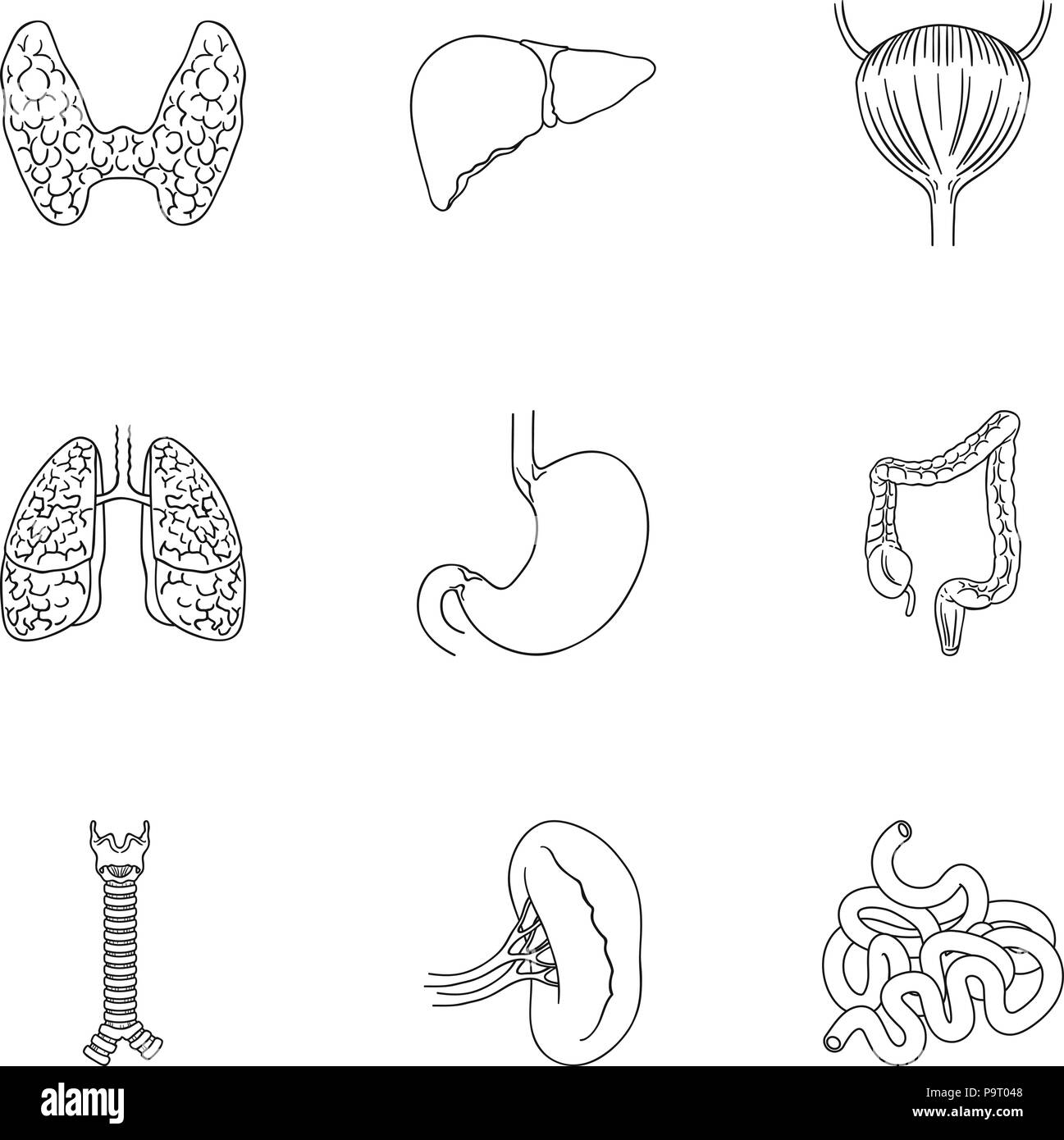 Human organs set icons in outline design. Big collection of human ...