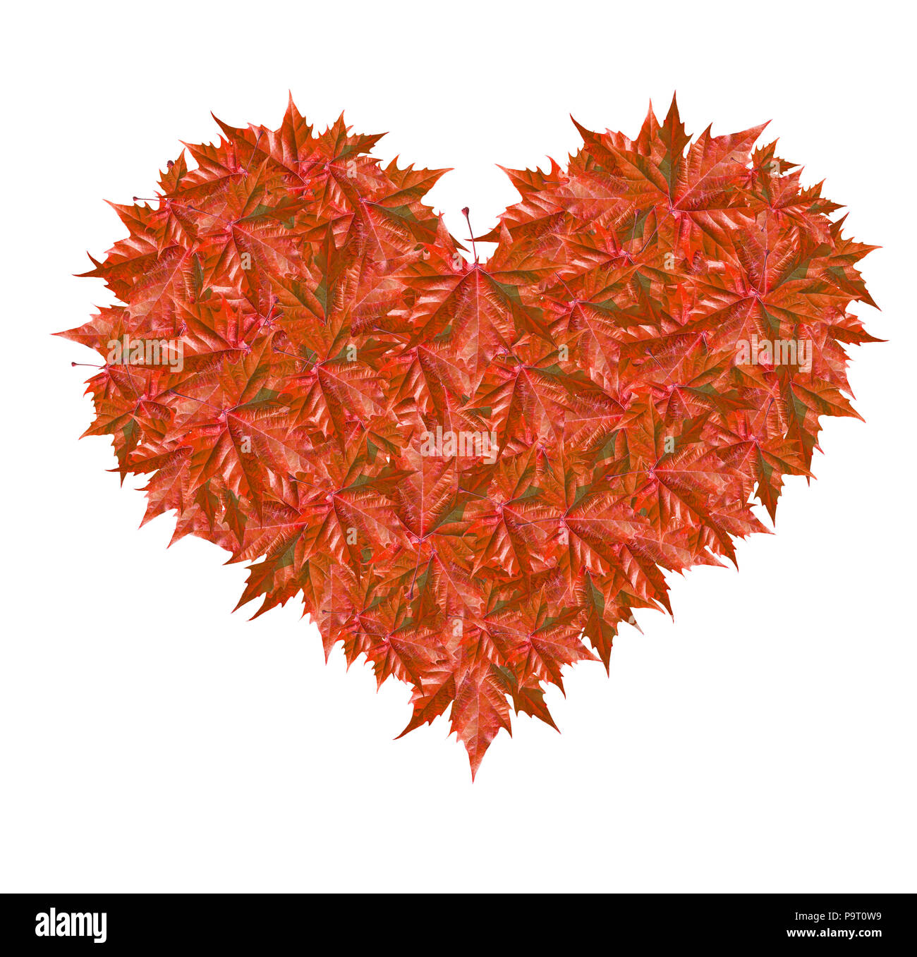 Heart symbol in leaves isolated on white Stock Photo - Alamy