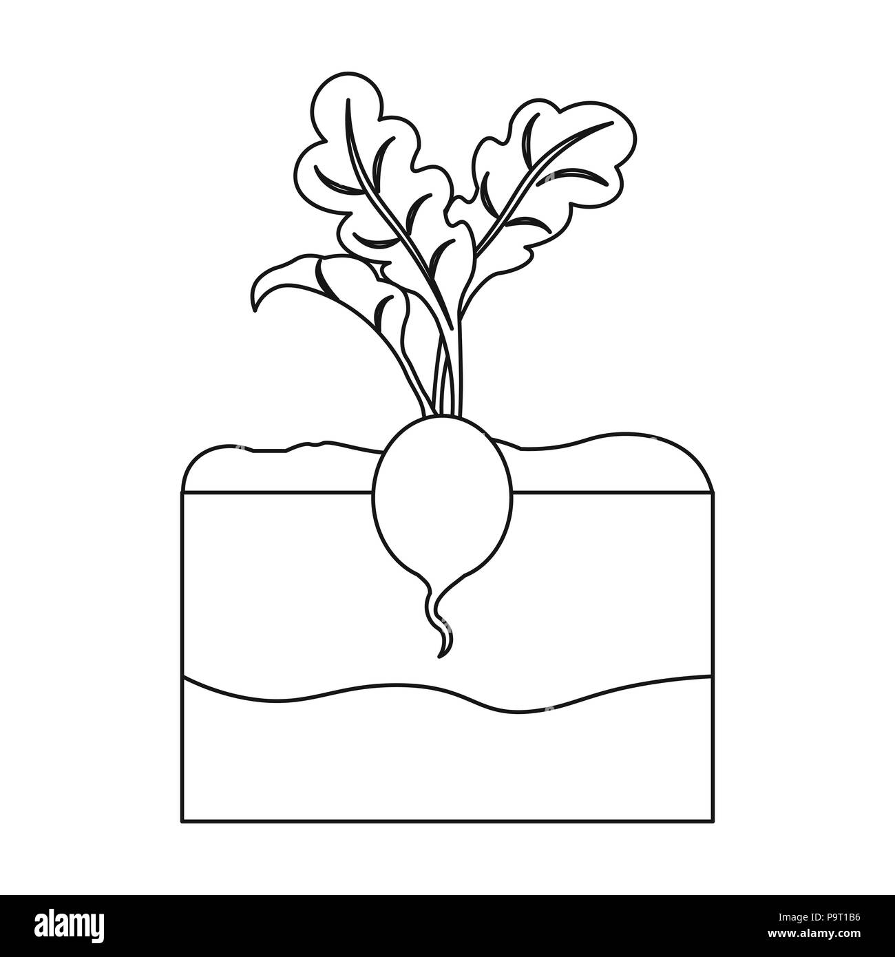 Radish icon in outline style isolated on white background. Plant symbol ...