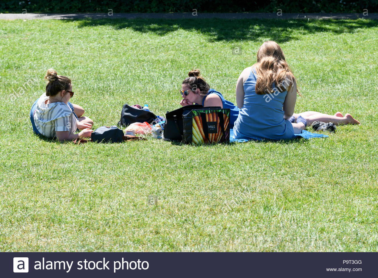 Hot Weather Park Sunbathing Grass High Resolution Stock Photography and ...