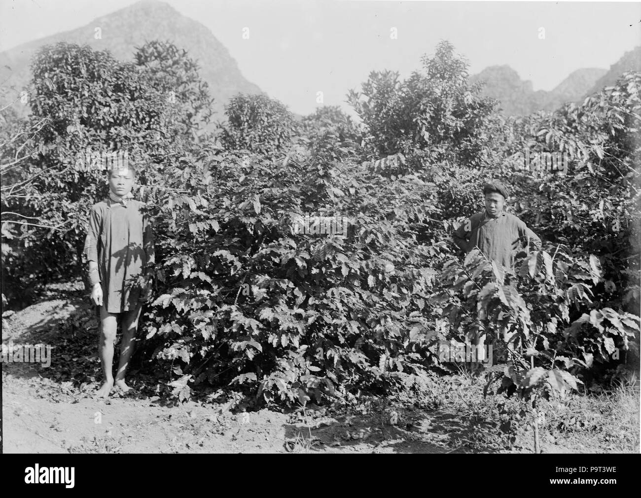 Tonkin Black and White Stock Photos & Images - Alamy