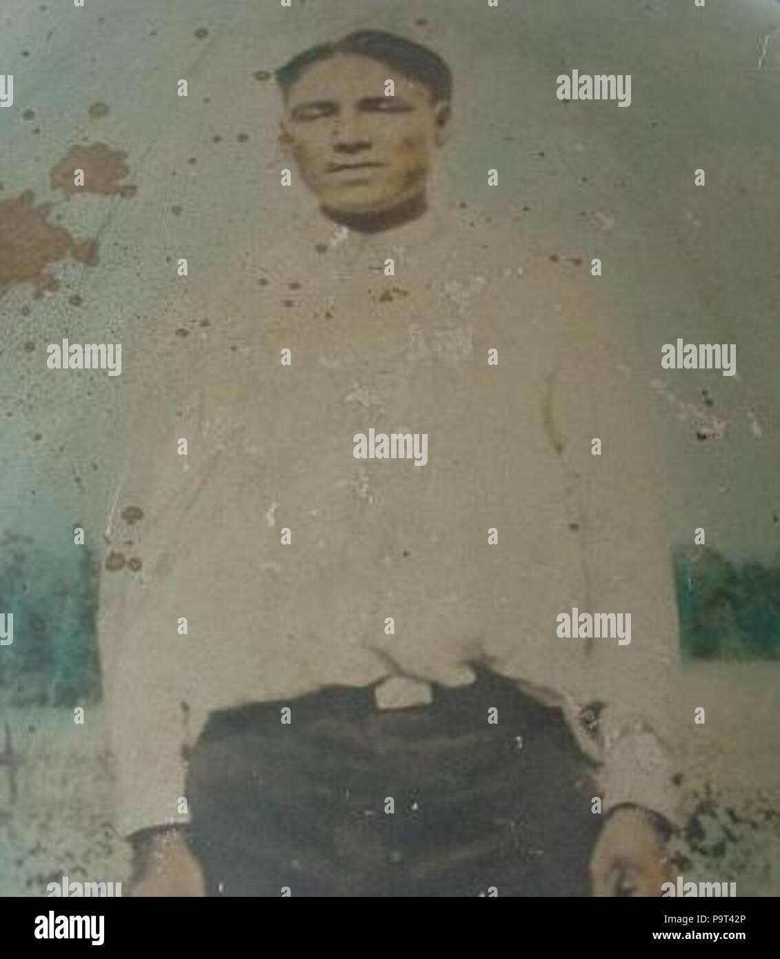 266 Caleb Starr Bean Stock Photo - Alamy