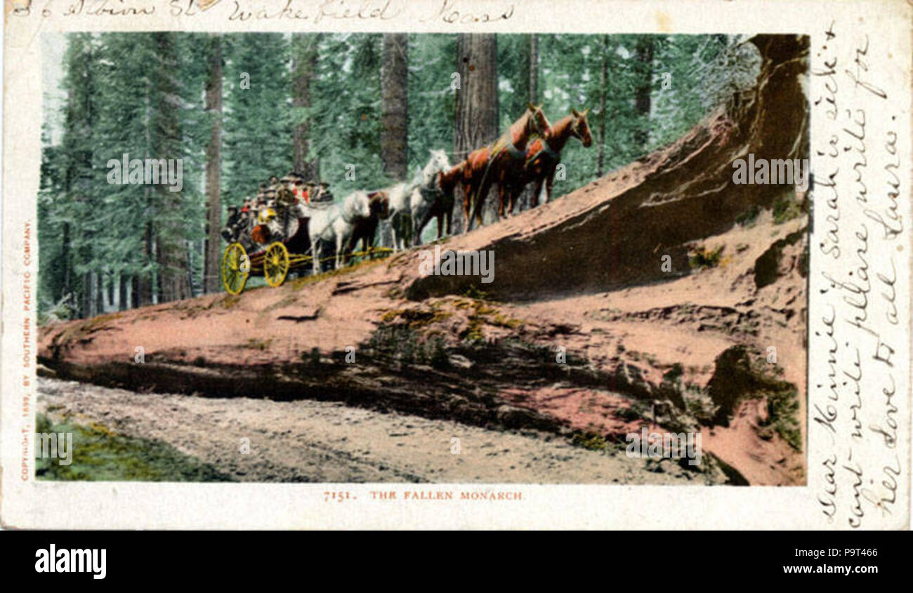 Fallen monarch hi-res stock photography and images - Alamy