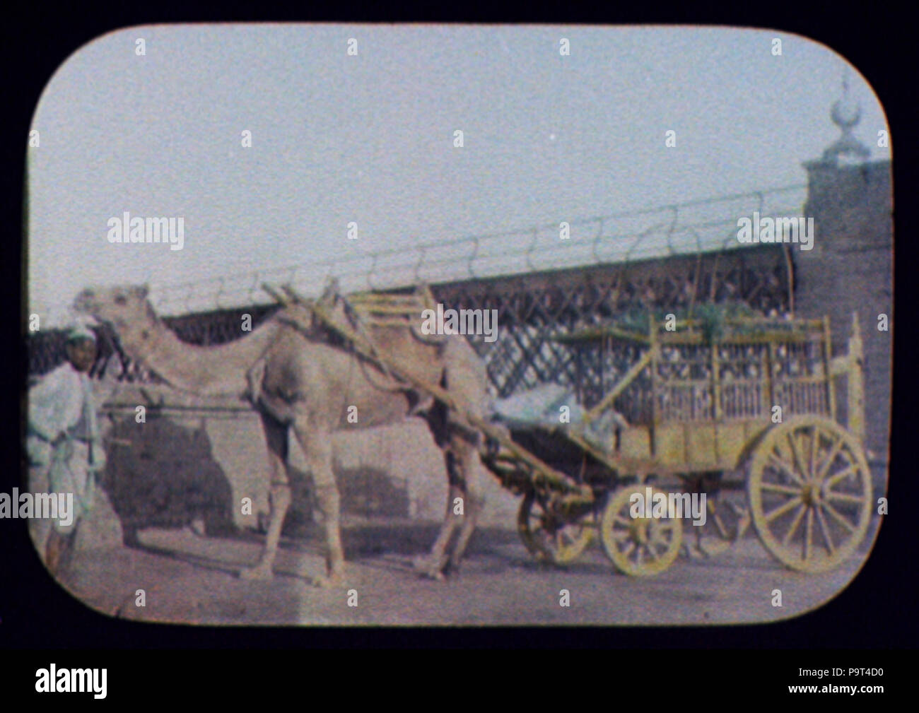 Camel drawn carriage hi-res stock photography and images - Alamy