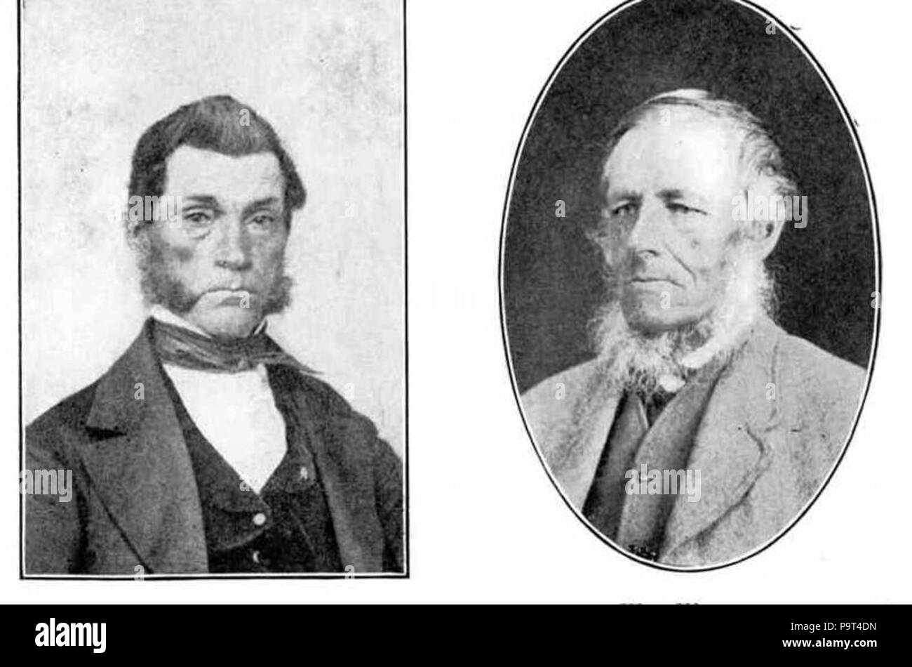 Withers Black and White Stock Photos & Images - Alamy