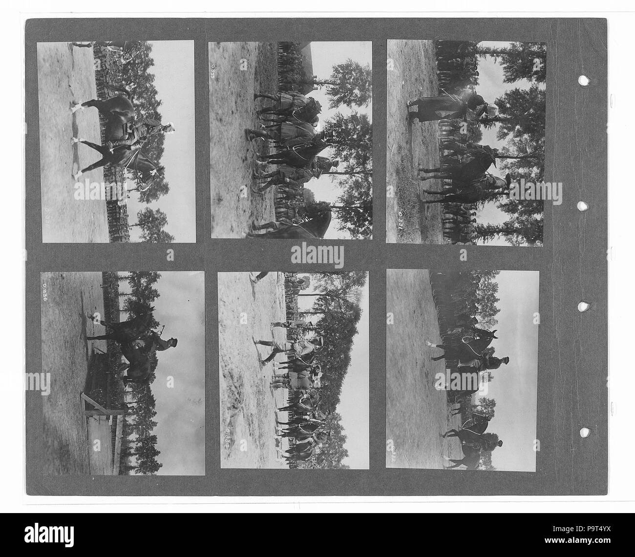 Specifically Cut Out Stock Images & Pictures - Alamy