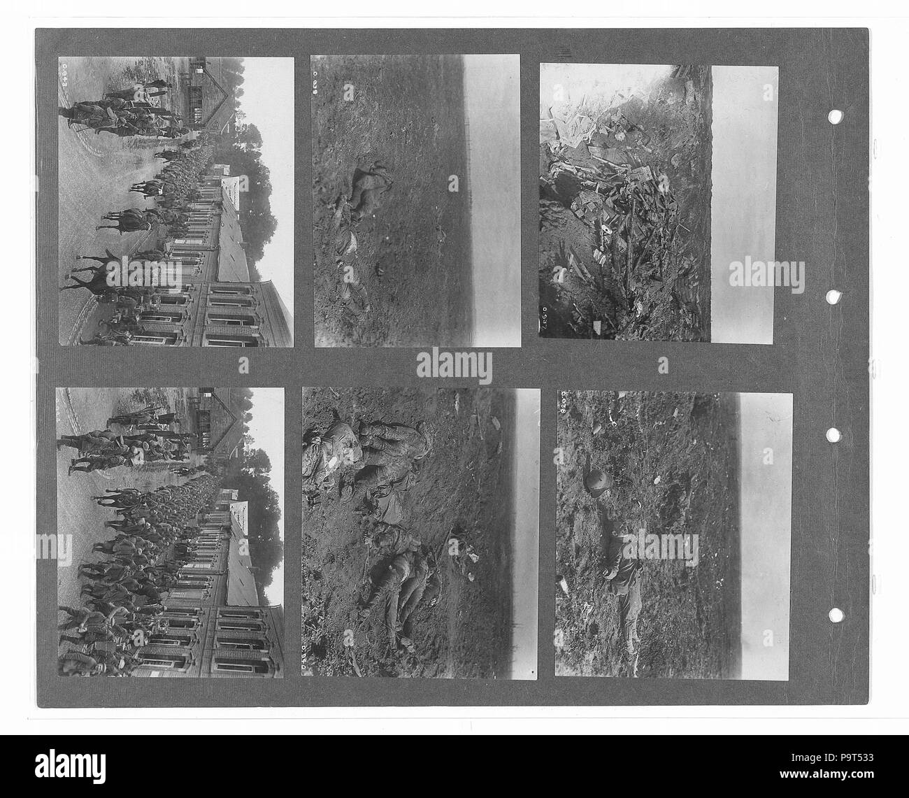 Preservation photographs Cut Out Stock Images & Pictures - Alamy