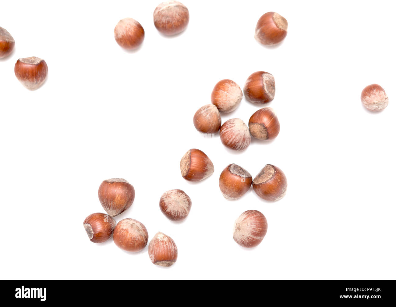 Hazelnuts isolated on white background Stock Photo - Alamy