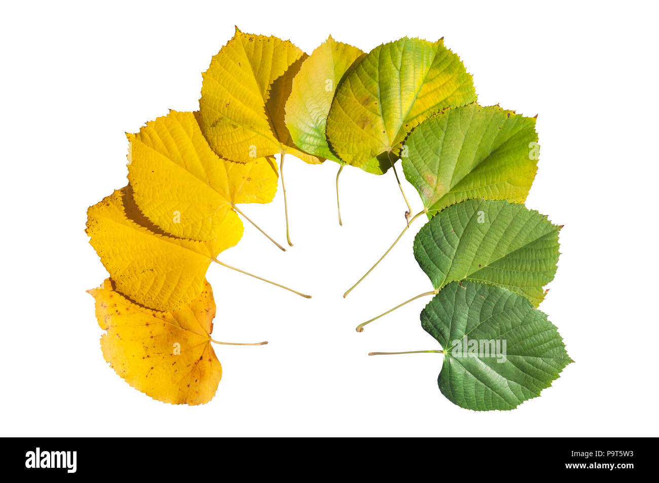 Transitional season Cut Out Stock Images & Pictures - Alamy