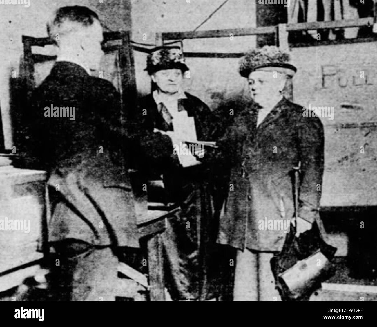 Voting cattle hi-res stock photography and images - Alamy