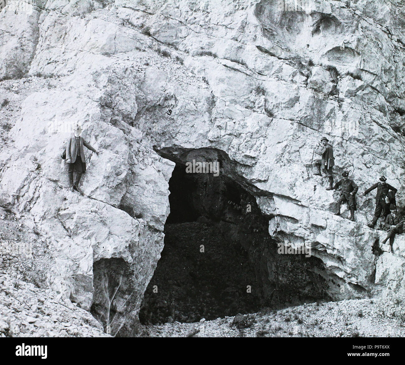 Cave conservation study hi-res stock photography and images - Alamy