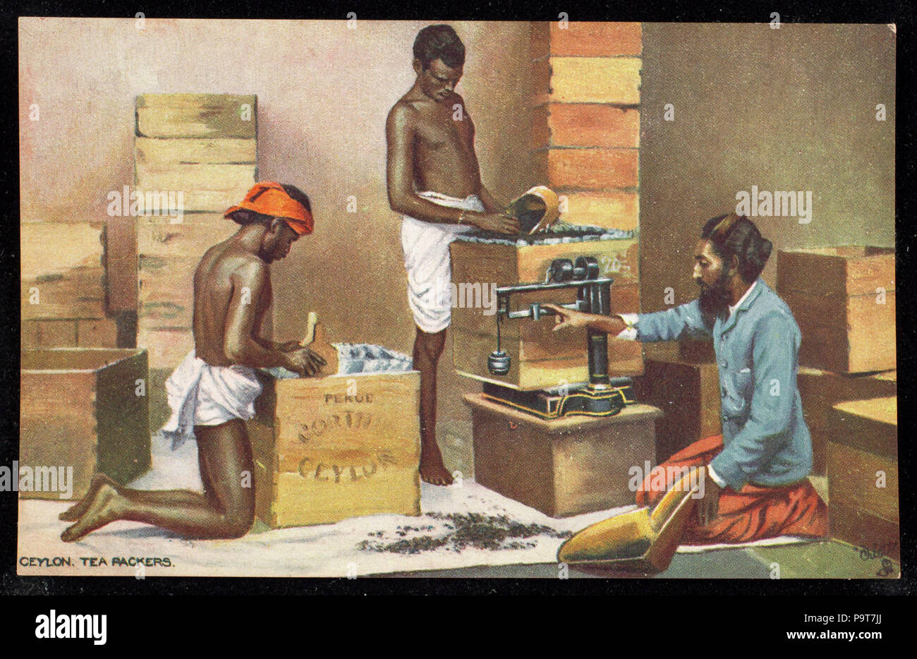 Ceylon tea industry hi-res stock photography and images - Alamy
