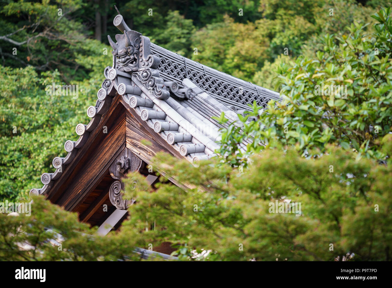 Bottom edge decorated hi-res stock photography and images - Alamy