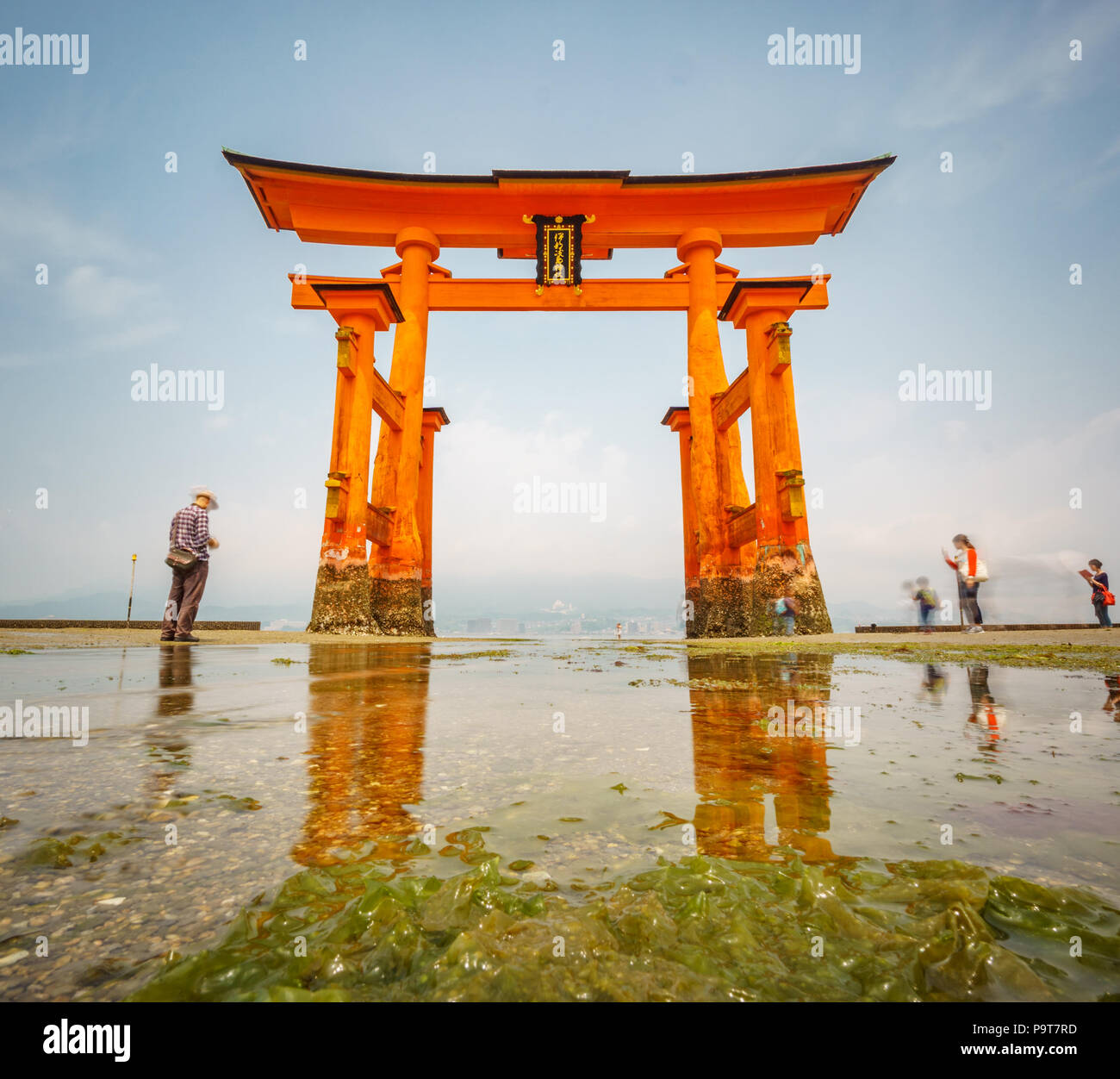 Impressive Floating Torii gate with blurred tourists, low tide with ...