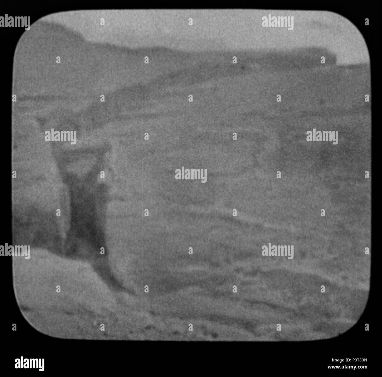 Chappa hi-res stock photography and images - Alamy