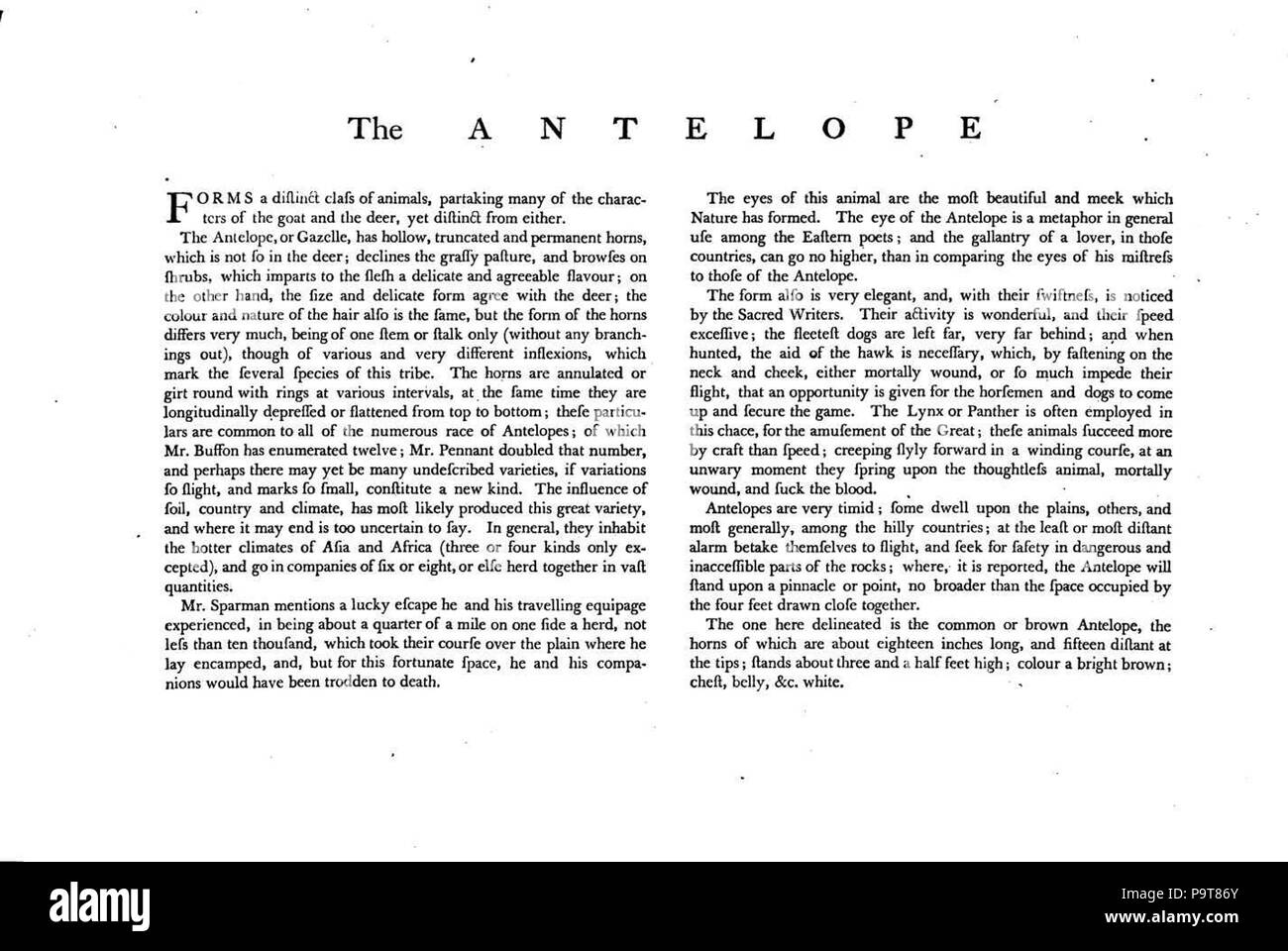 Naturalistic animal art Cut Out Stock Images & Pictures - Alamy