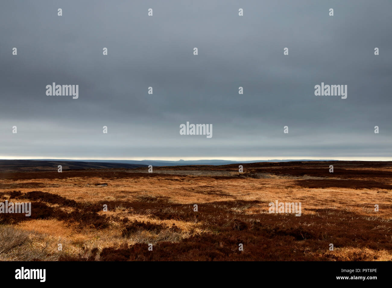 High moorland moor moors hi-res stock photography and images - Alamy