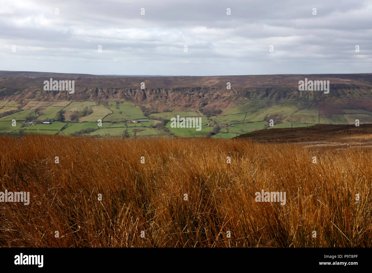 Farndale moor hi-res stock photography and images - Alamy
