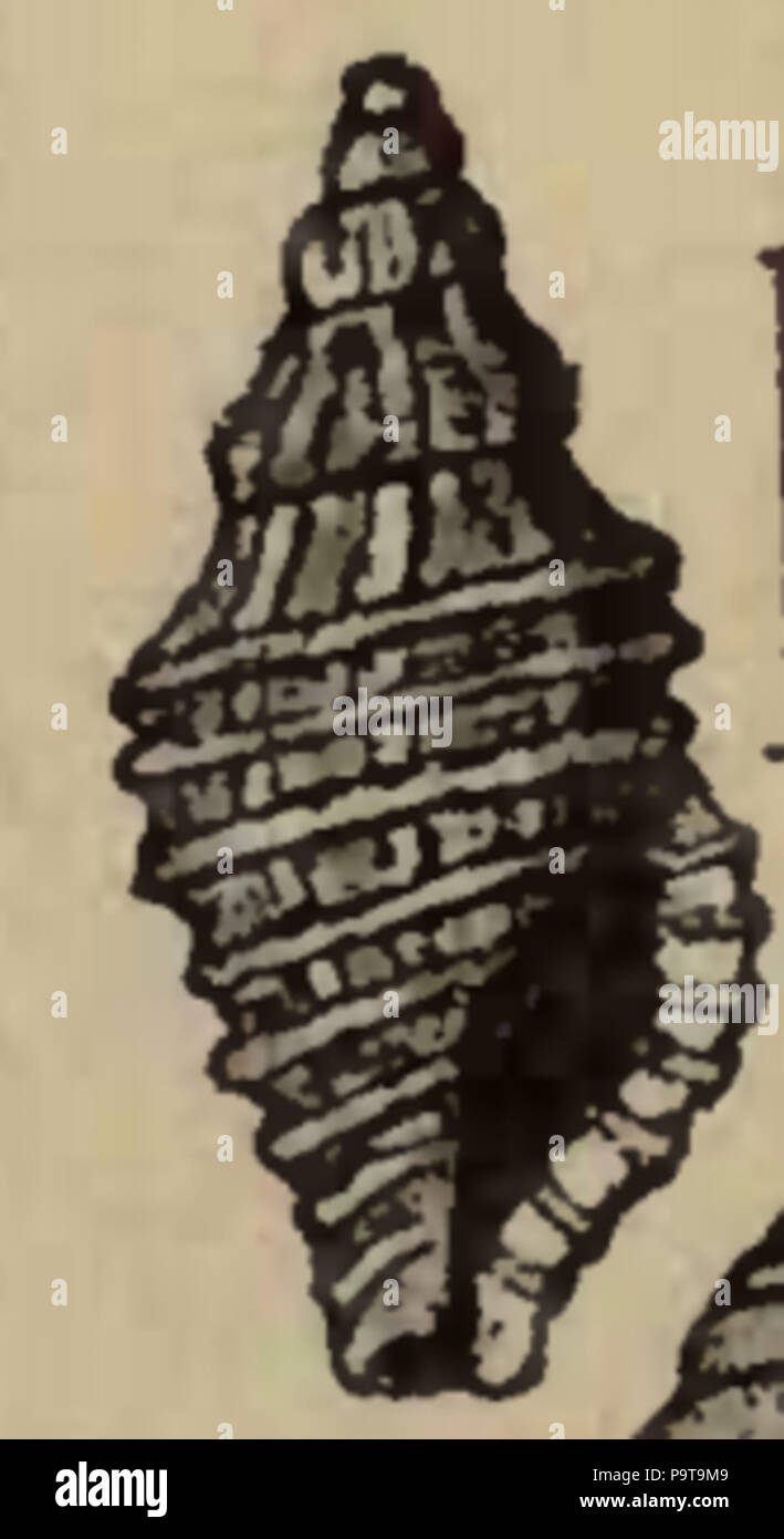 Granum hi-res stock photography and images - Alamy