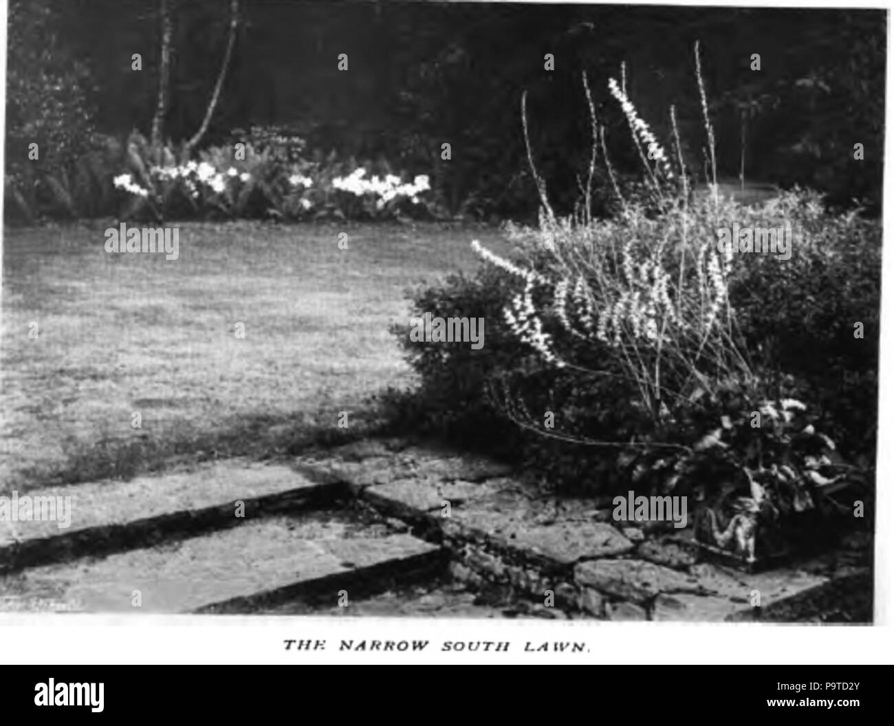 Colour of flower Black and White Stock Photos & Images - Alamy