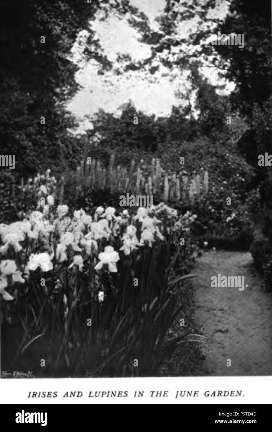 Green colour palette plant hi-res stock photography and images - Alamy