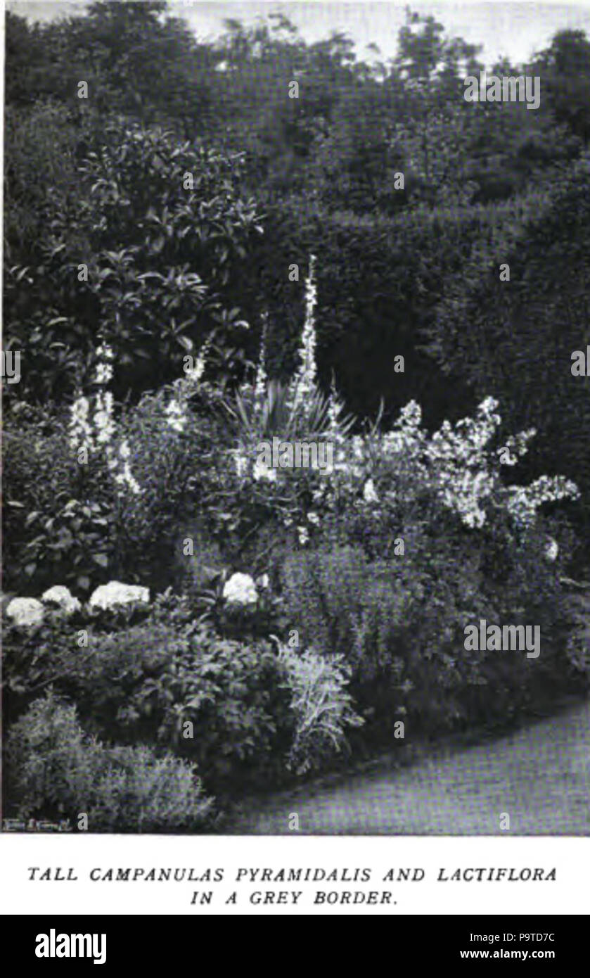 338 Colour in the Flower Garden59 Stock Photo - Alamy