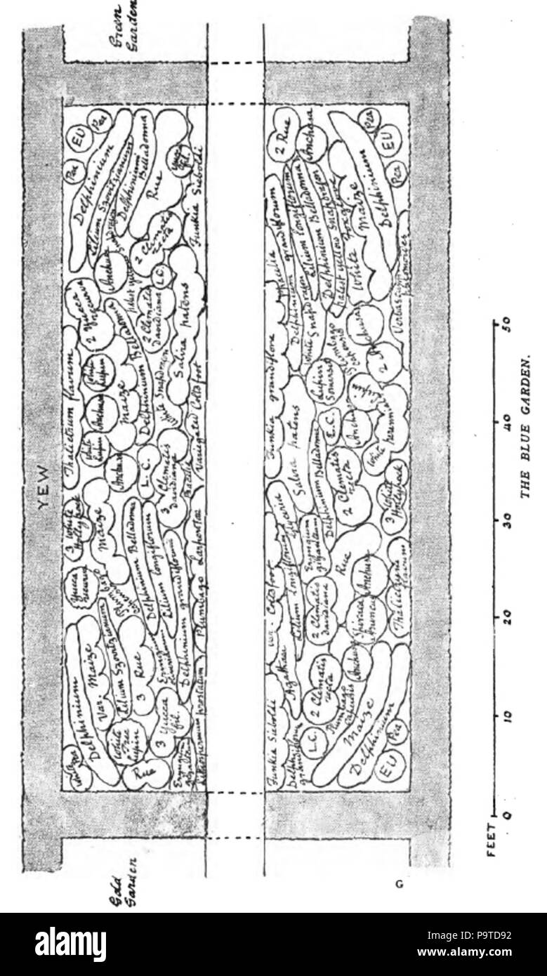 Flower display spring Black and White Stock Photos & Images - Alamy