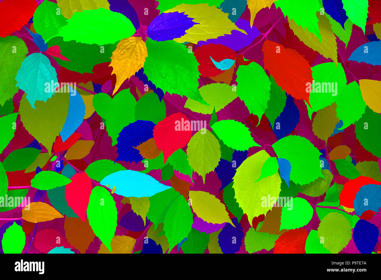Happy colours hi-res stock photography and images - Alamy