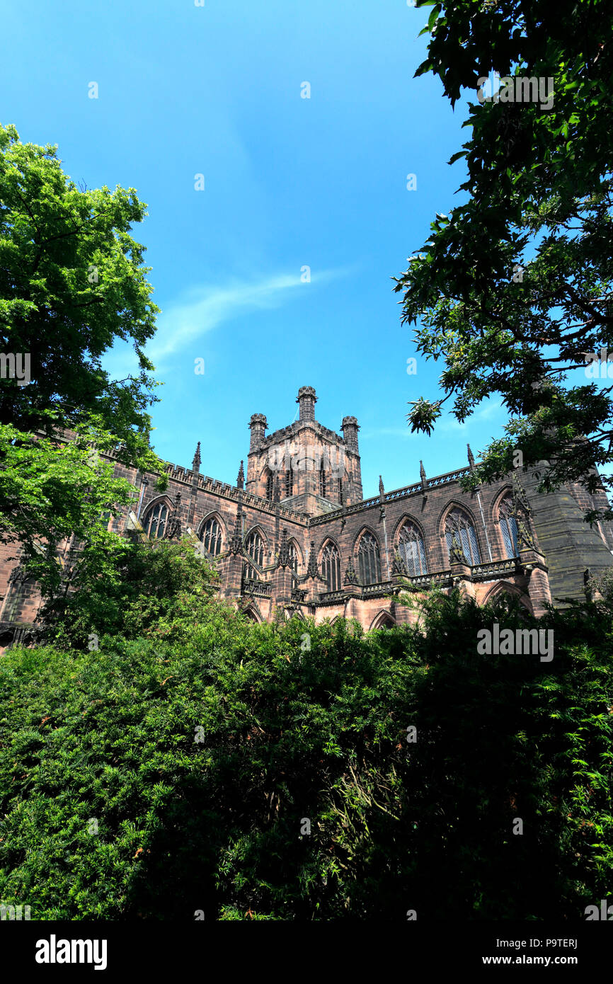 Summer view of Chester Cathedral, Chester City, Cheshire, England Stock ...