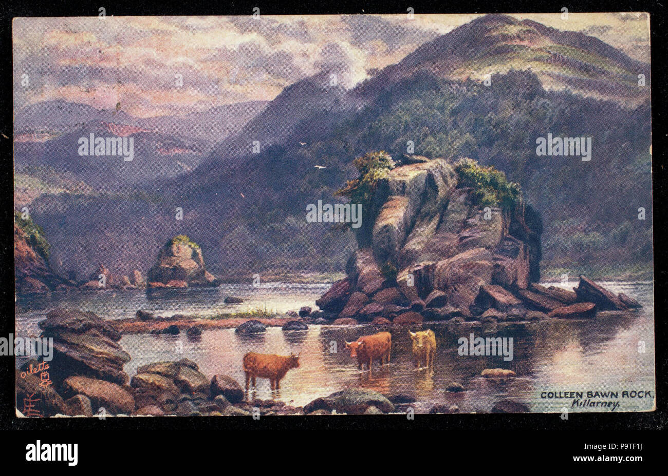 Colleen bawn hi-res stock photography and images - Alamy