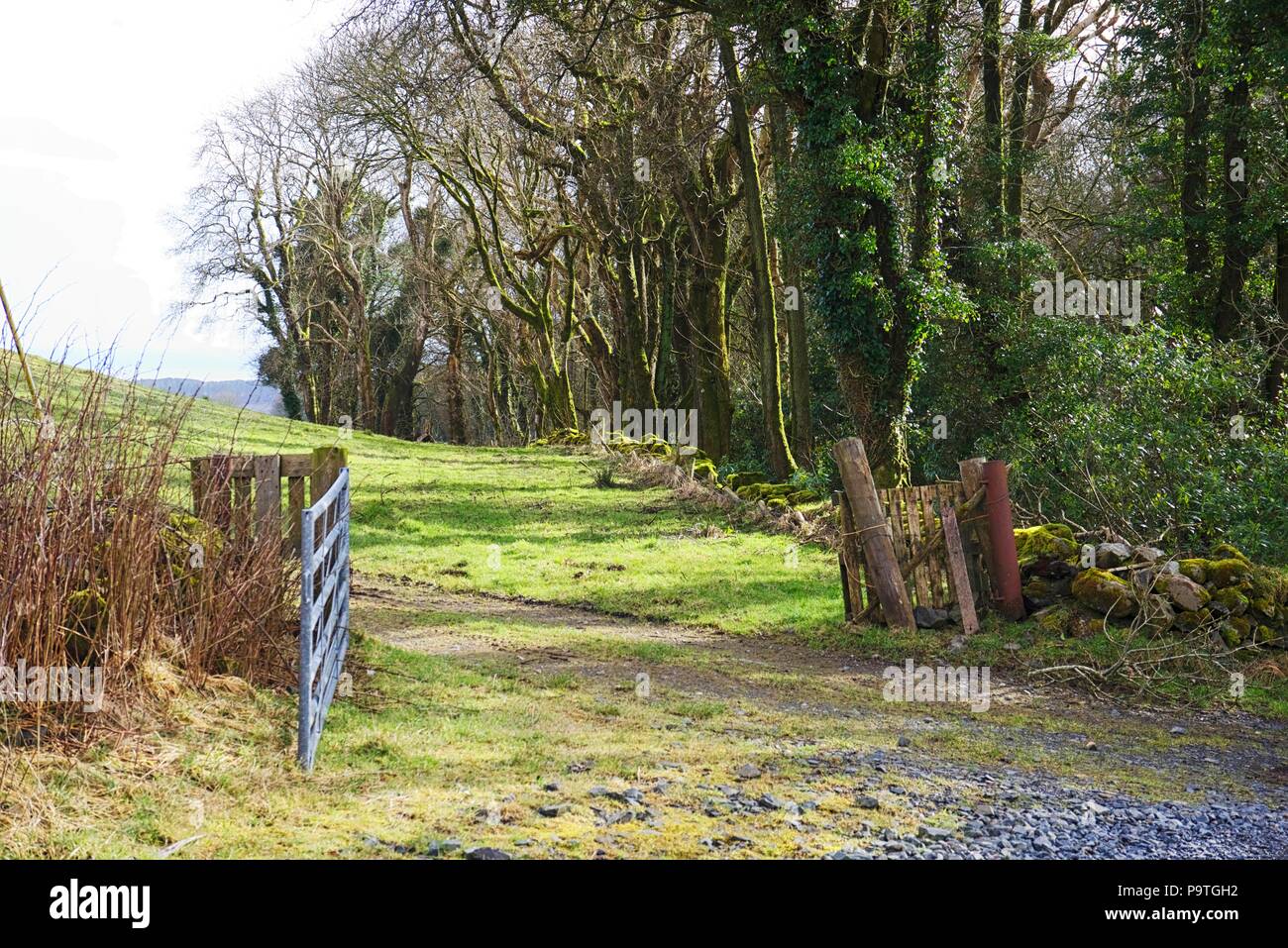 Stranraer scotland hi-res stock photography and images - Alamy